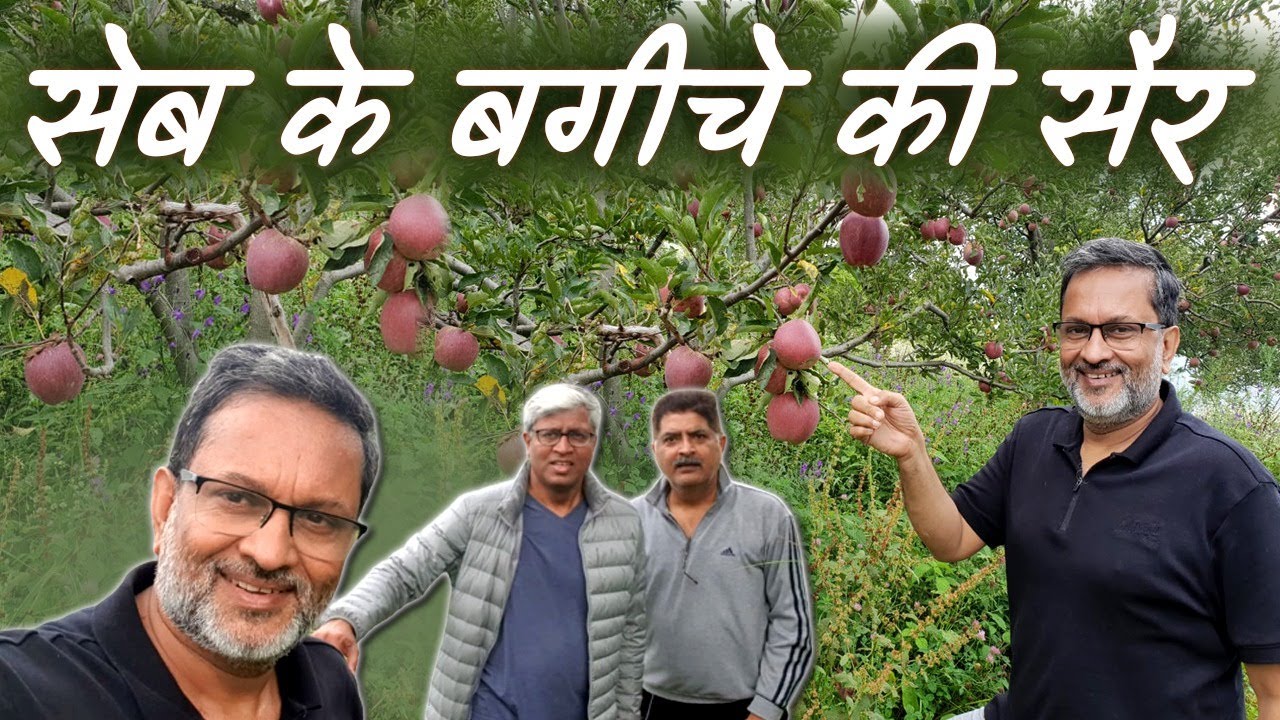 Narkanda के apple orchards में दोस्तों के साथ - Ajit Anjum - YouTube