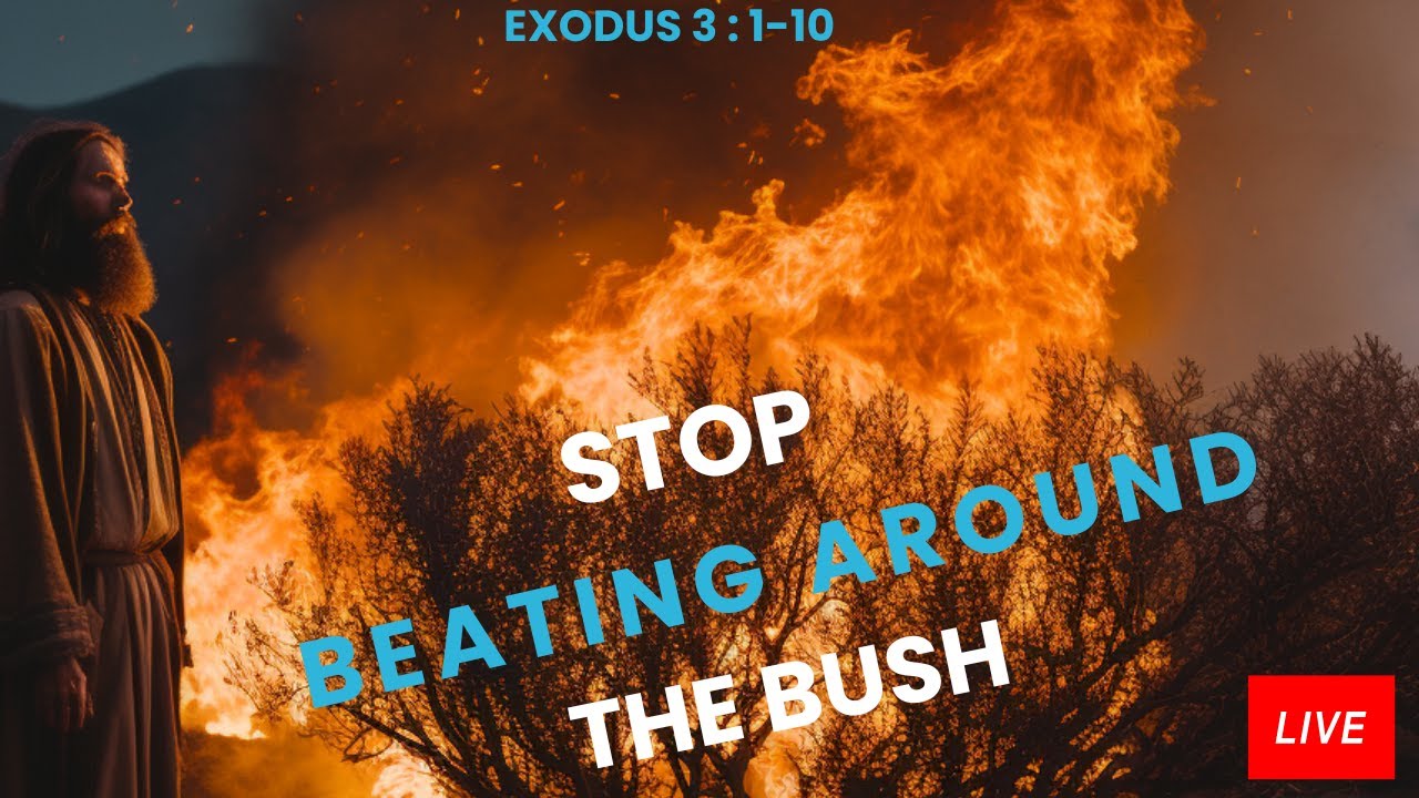 STOP BEATING AROUND THE BUSH - YouTube