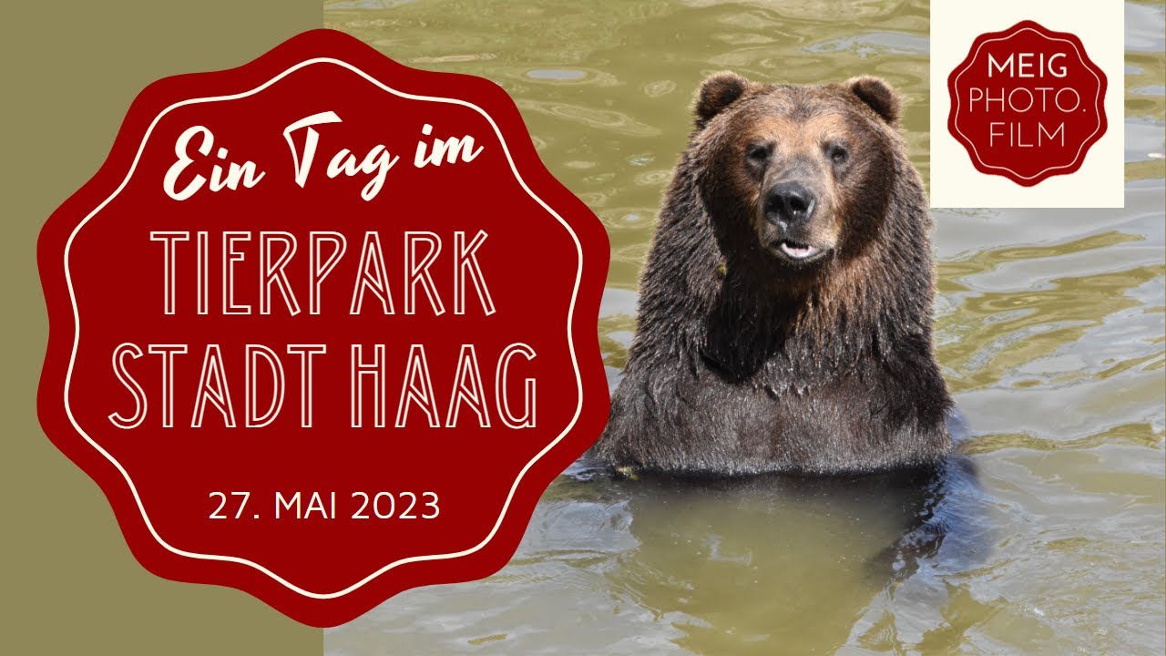 Ein Tag im Tierpark Stadt Haag - YouTube