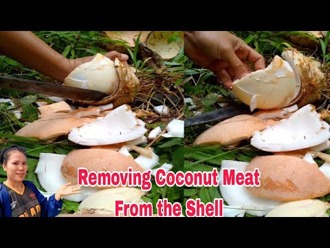 Fast and Easiest way To Remove Coconut Meat From the shell Using Knife ...