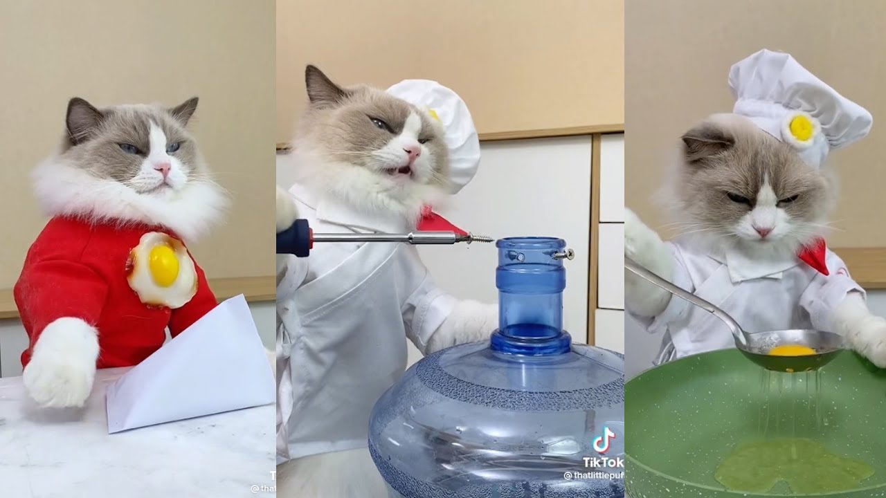 That Little Puff - BEST Tiktoks 2023 - YouTube