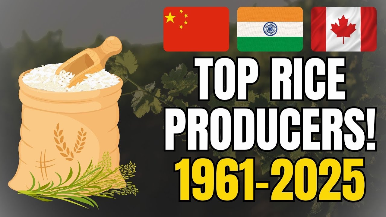 Top Rice Producing Countries in the World (1961–2025) 🌾 | The Largest ...