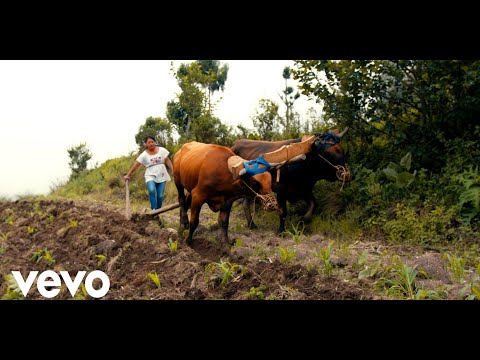 LOBO MIXTECO | MUJER DE CAMPO (Video Clip 4K) 2023