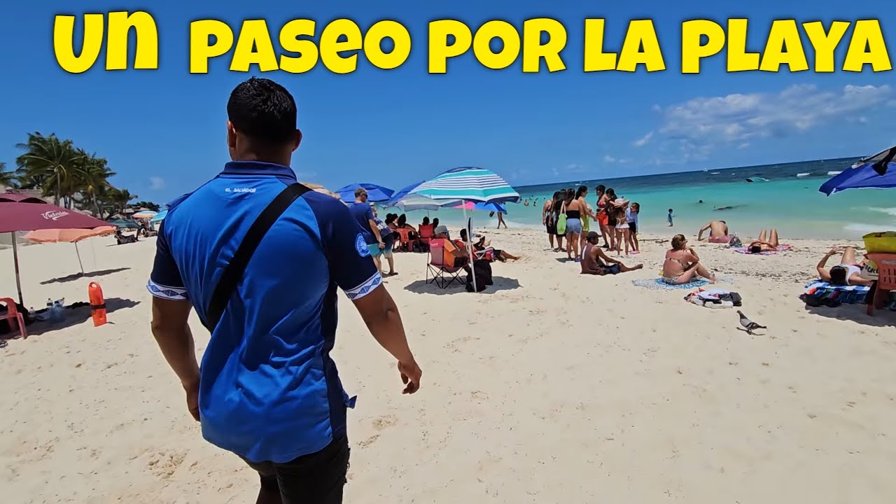 Dimos un paseo por esta hermosa playa y así es como se sienten los ...