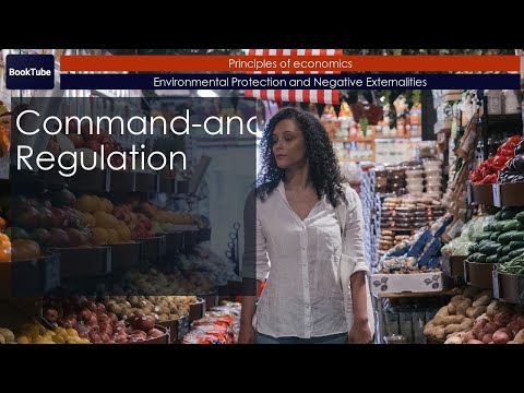 What Is The Command And Control Approach To Environmental Pollution