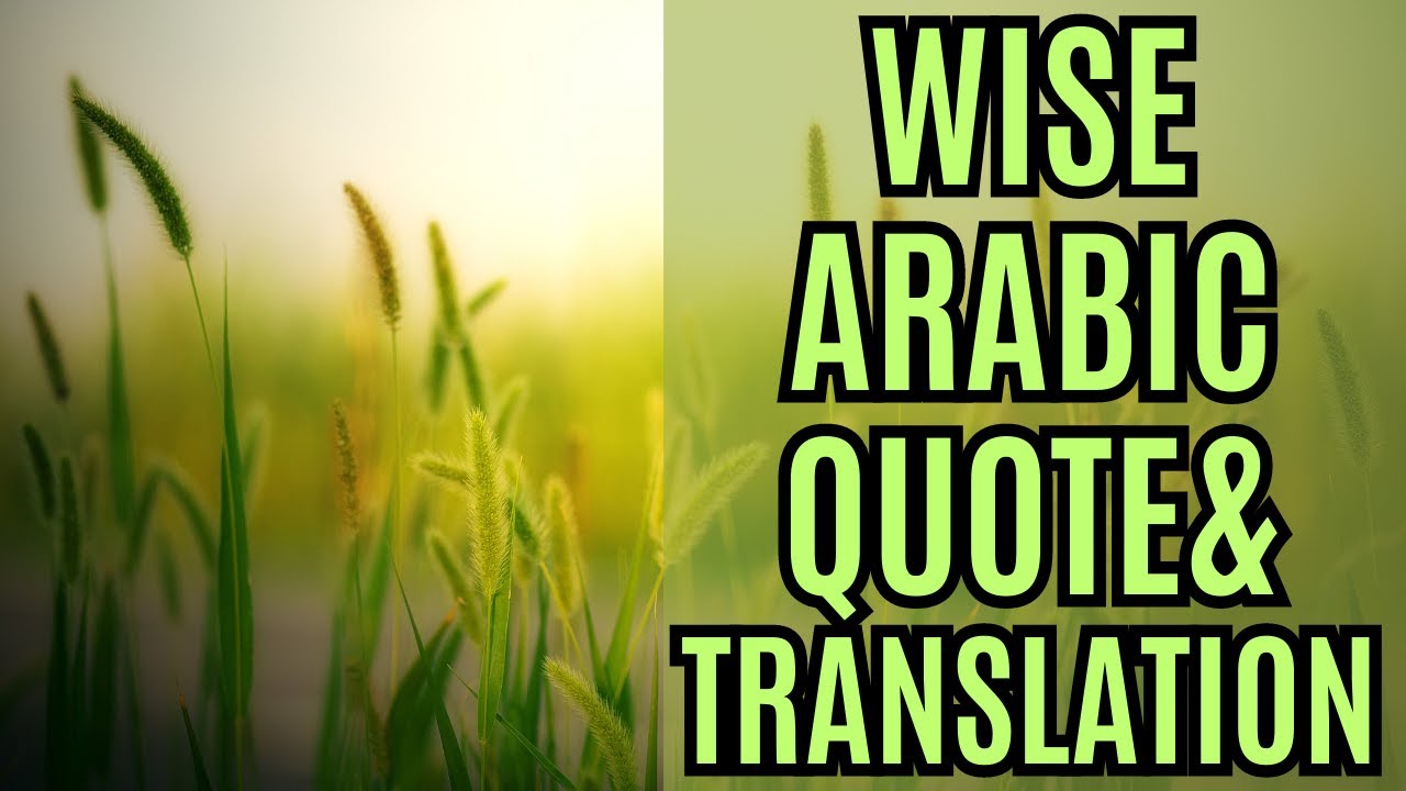 Wise Arabic quotes||Arabic quotes||Arabic proverbs|Arabic quote with ...
