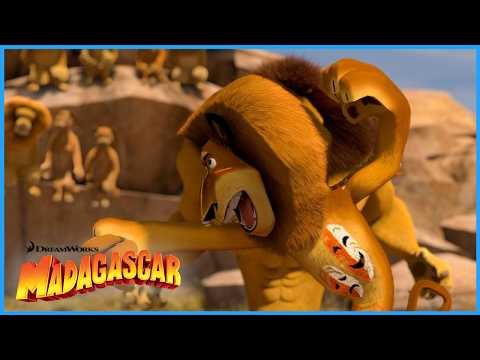 Alex Must Fight!!🥊 | DreamWorks Madagascar