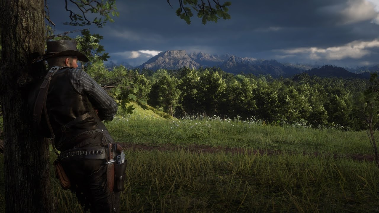 RDR 2 RP смотрим плюсы и минусы) - YouTube