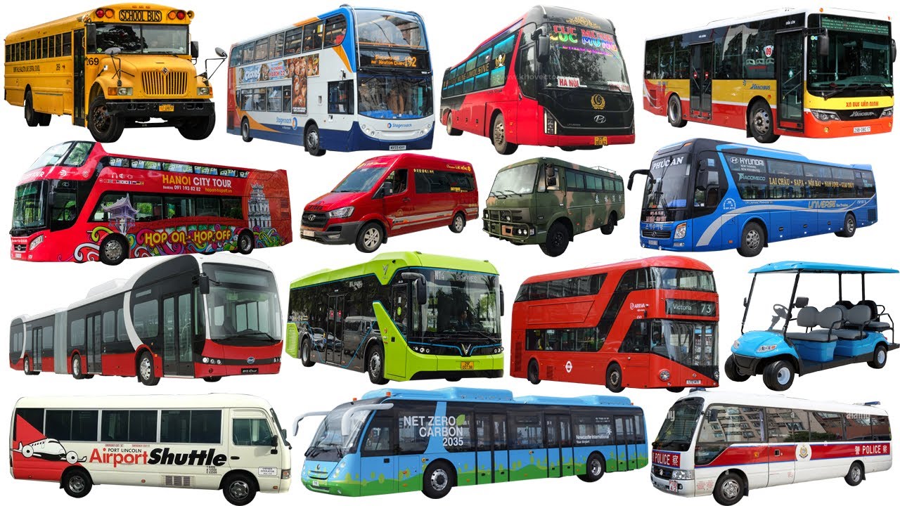 School Bus, Police Bus, Double-decker Bus, Shuttle Bus, City Bus ...