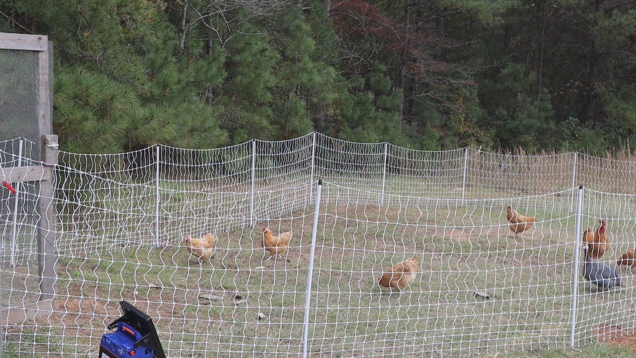 Premier 1 Solar Chicken Fence Review - YouTube