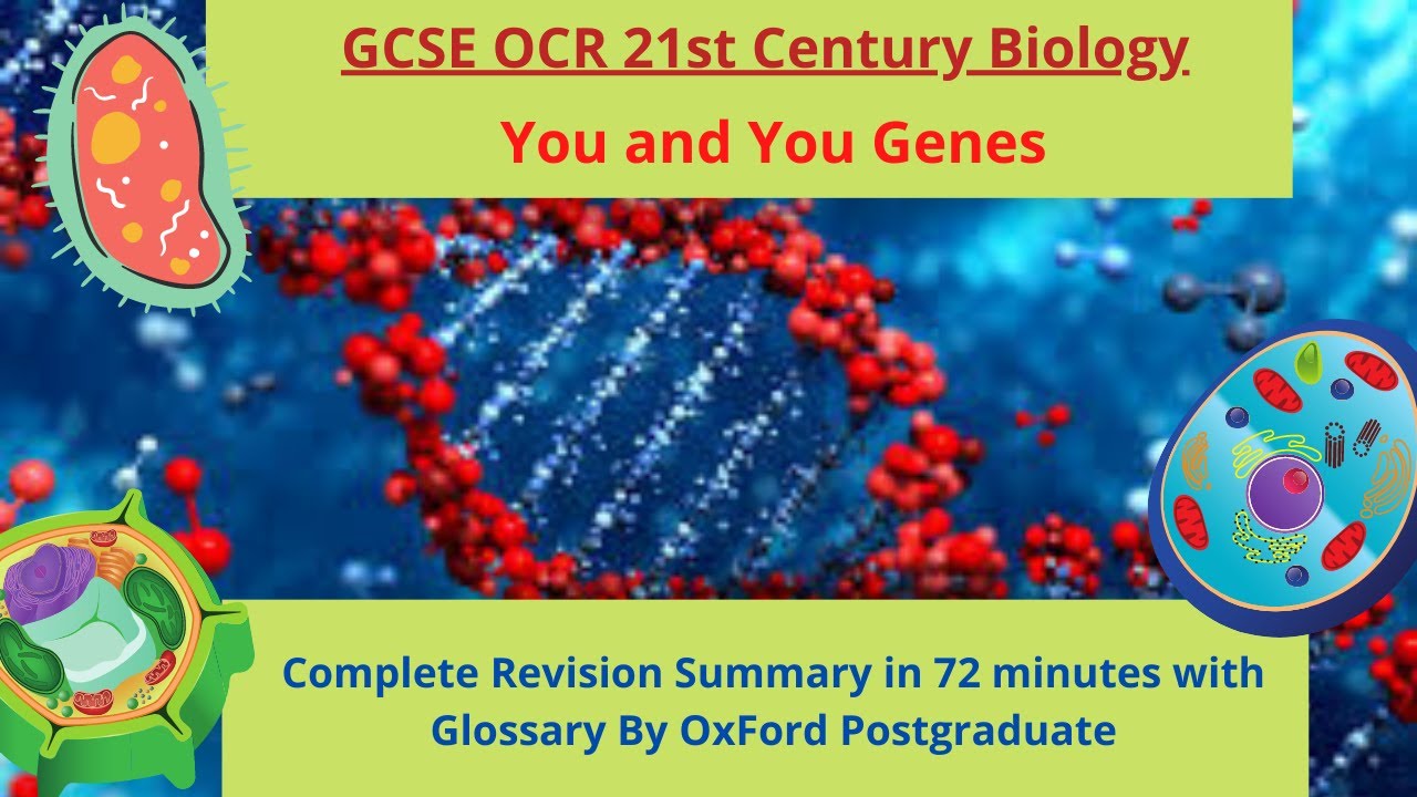 GCSE OCR 21st Century Science Biology You and You Genes Complete ...