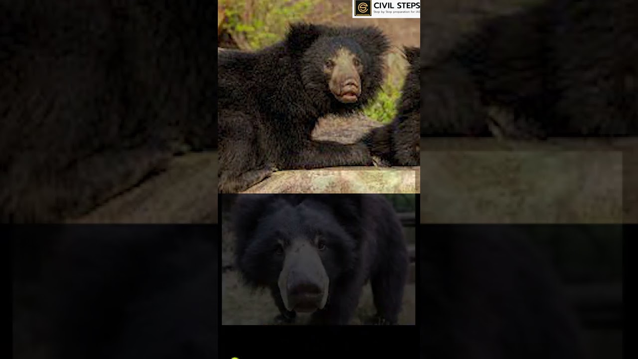 UPSC Preparation| GS paper 3 | IAS exam| Sloth bear | Environment ...