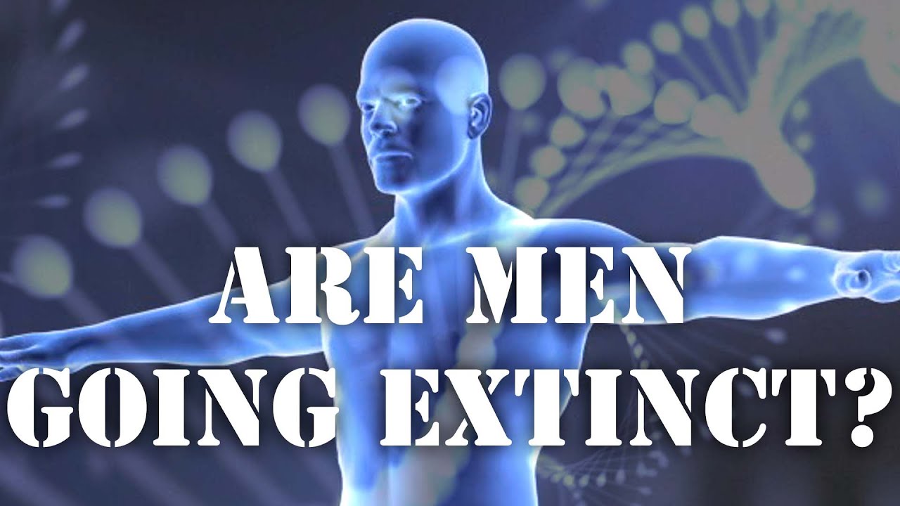 Are Men Going Extinct? - YouTube