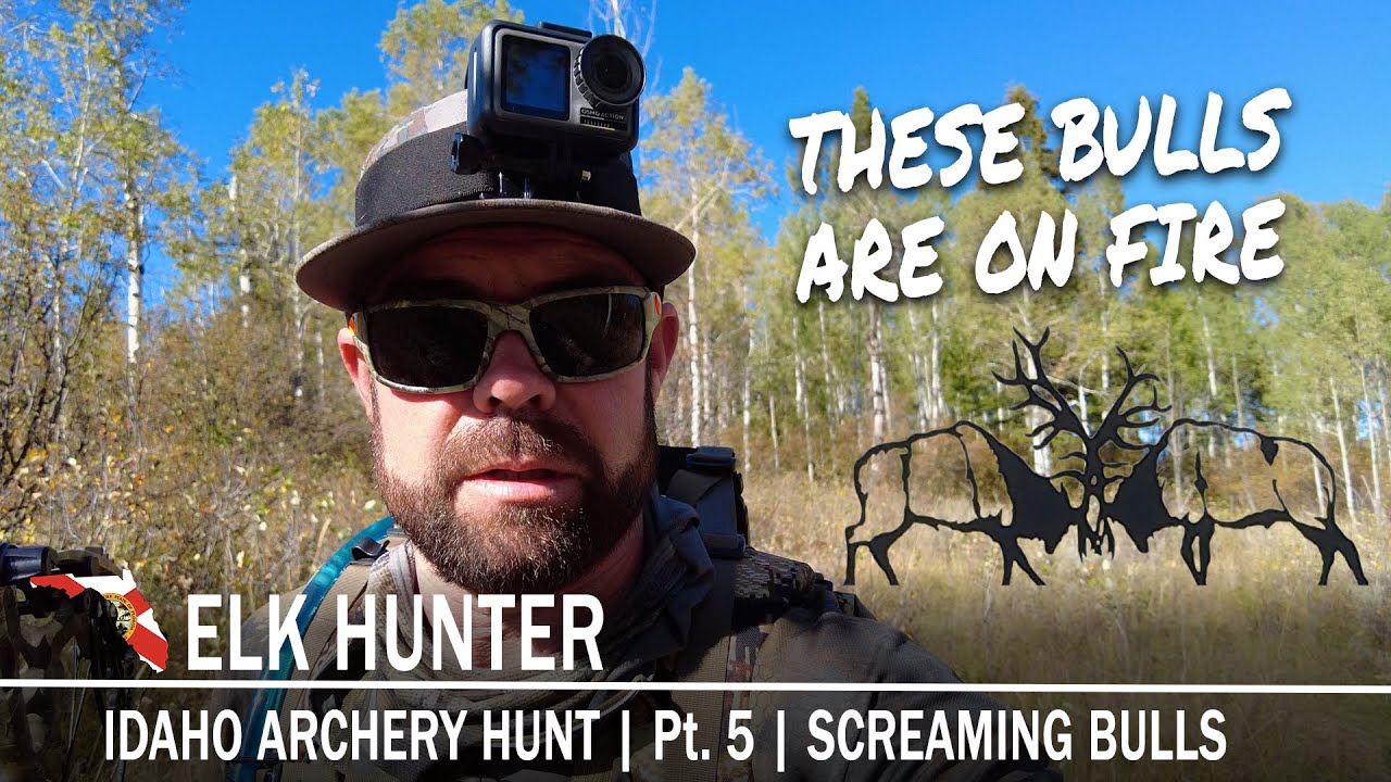 Idaho Archery Elk Hunt | Pt.5 | SCREAMING BULLS - YouTube