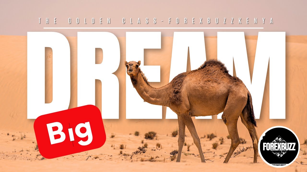 The forex trading dream!! FOREXBUZZKENYA. Trade smarter. - YouTube