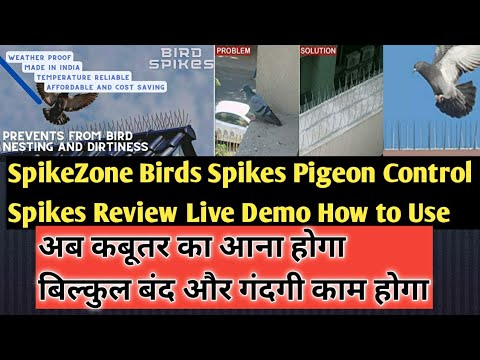 SpikeZone Birds Spike Pigeon Control Spike Review,Demo How to Use अब ...