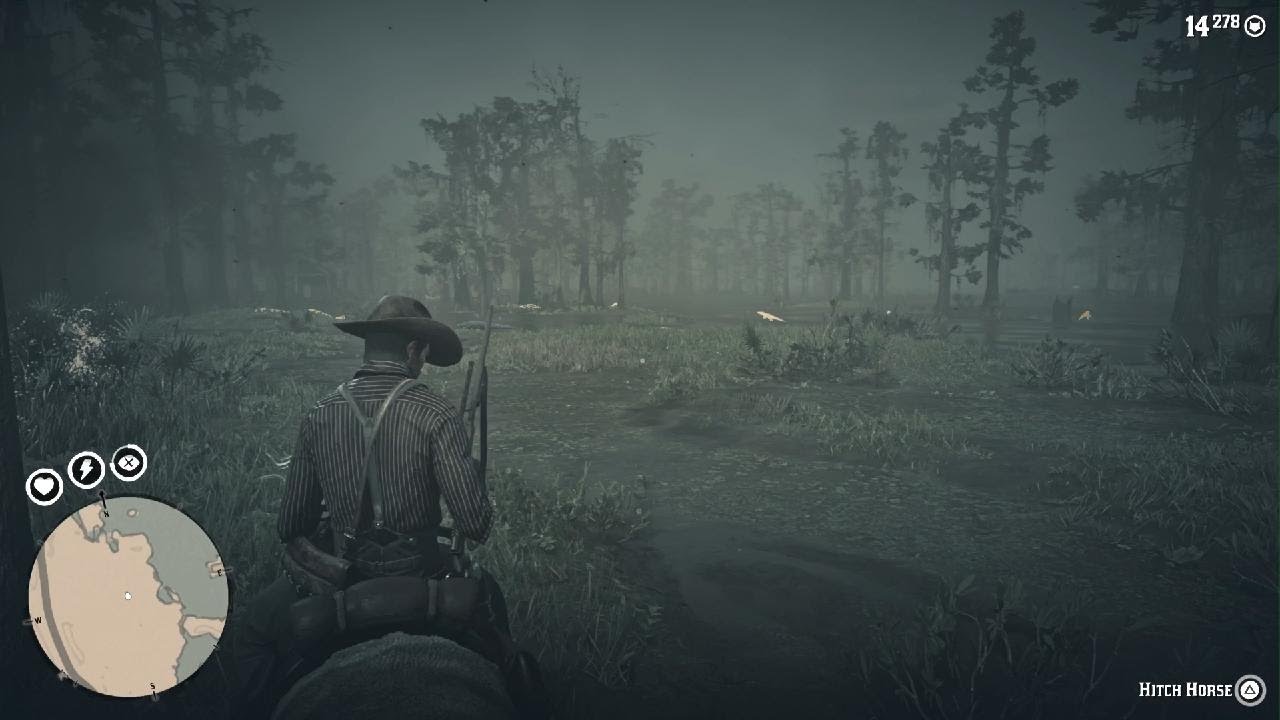 Red Dead Redemption 2_Carolina parakets - YouTube