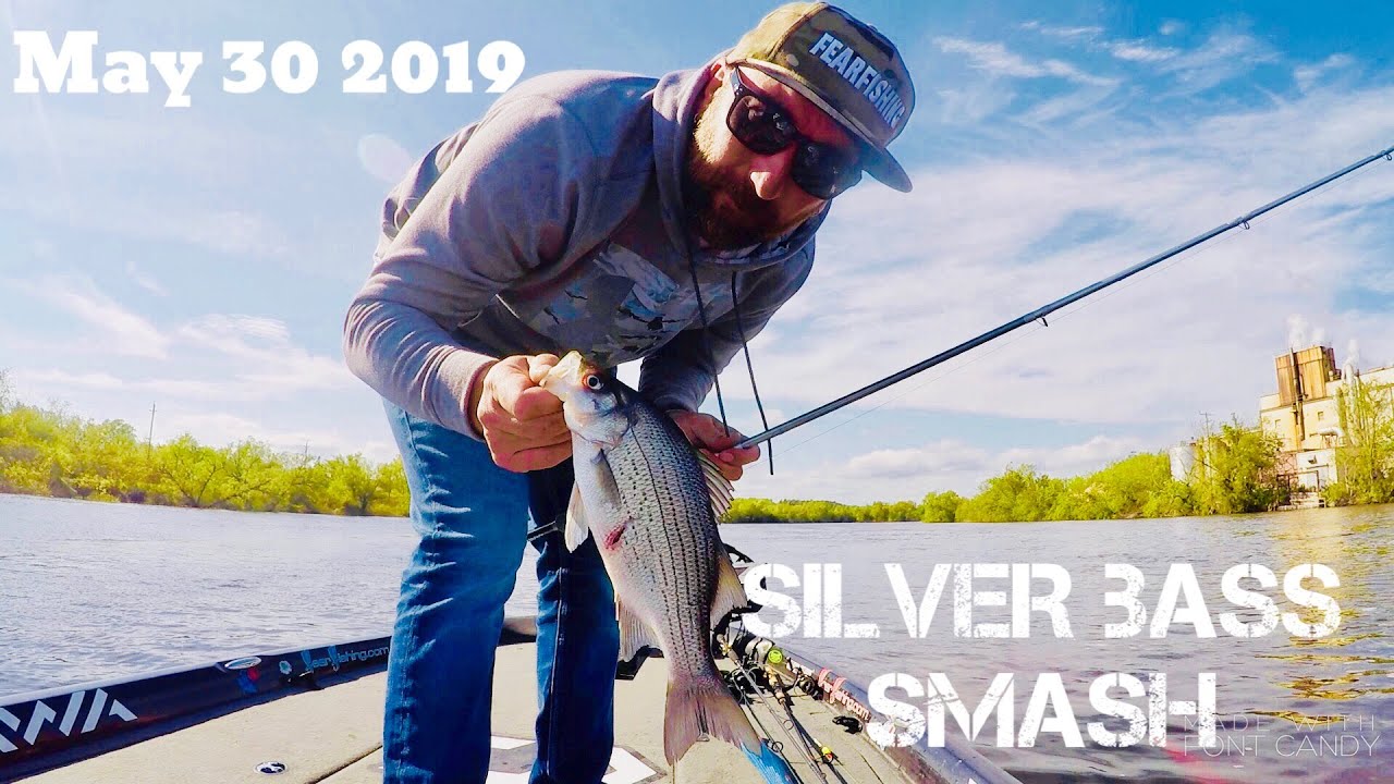 Silver Bass White Bass what every you call them its a SMASH!!!! - YouTube