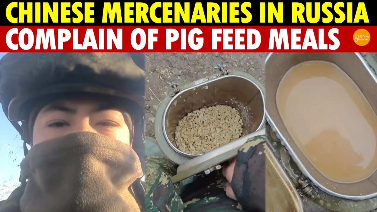 Russia Feeds Chinese Mercenaries Pig Feed? Complaints of Poor Quality ...