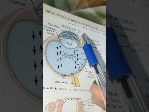 Intraocular fluid - Fluid system of eye Guyton chapter 50 # ...