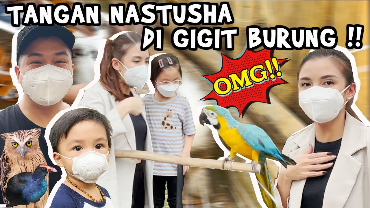 TANGAN NASTUSHA DI GIGIT BURUNG !!! - YouTube