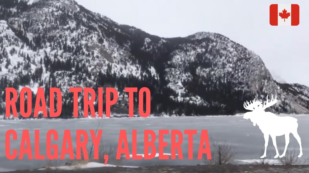 Seattle to Calgary Trip to Announce at Century Downs - YouTube
