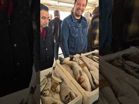 ÇAVUŞ OKYANUS İLE MAVİŞEHİR BALIK MEZATI. CANLI YAYIN. CMTS.