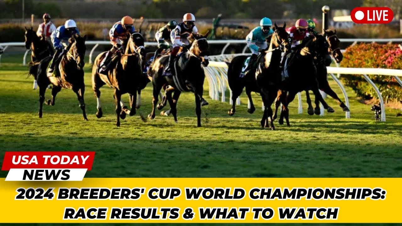 2024 Breeders' Cup World Championships: Race Results & What to Watch । USA TODAY NEWS - YouTube