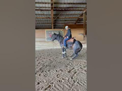 Reining horse doing a sliding stop! - YouTube