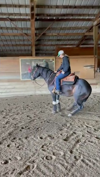 Reining horse doing a sliding stop! - YouTube