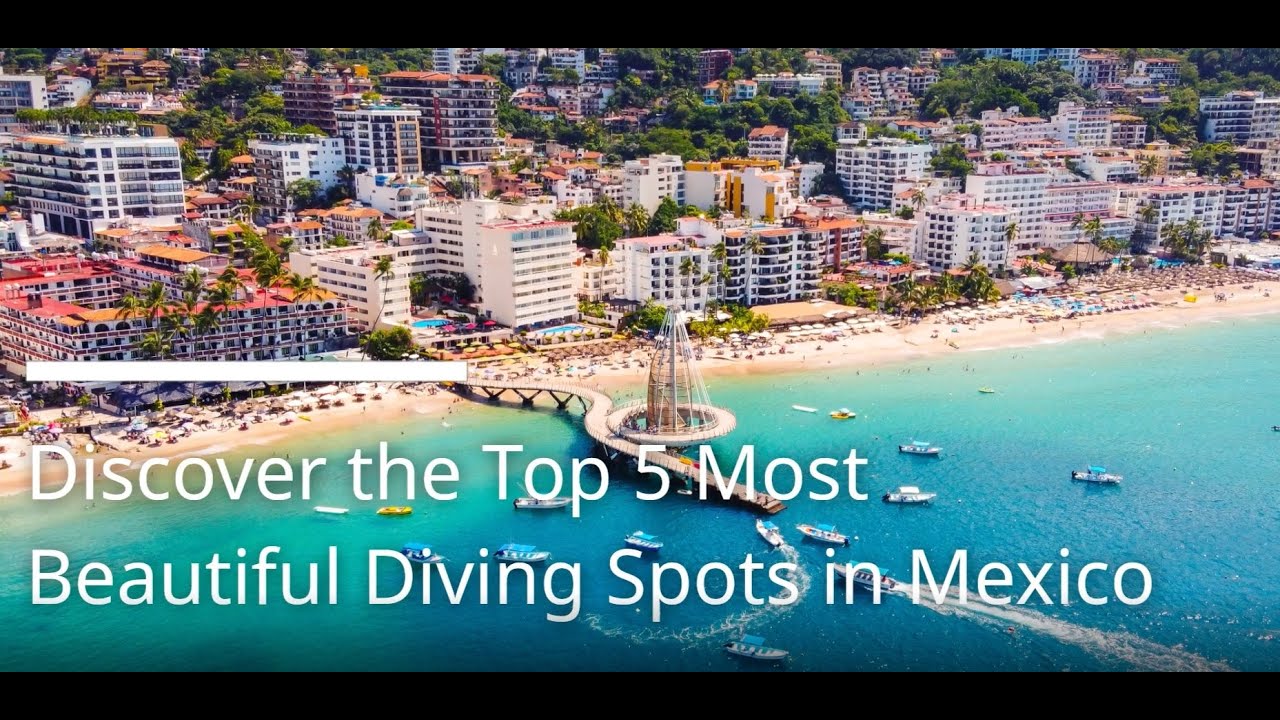 Discover the Top 5 Most Beautiful Diving Spots in Mexico - YouTube