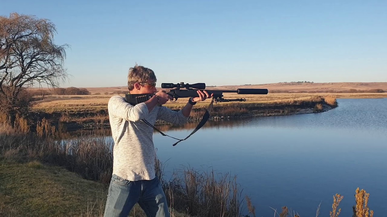 Bosvark Jag / Bush pig Hunting - YouTube