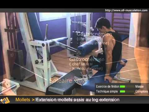 Vidéo des extensions pour les mollets assis au leg extension - YouTube