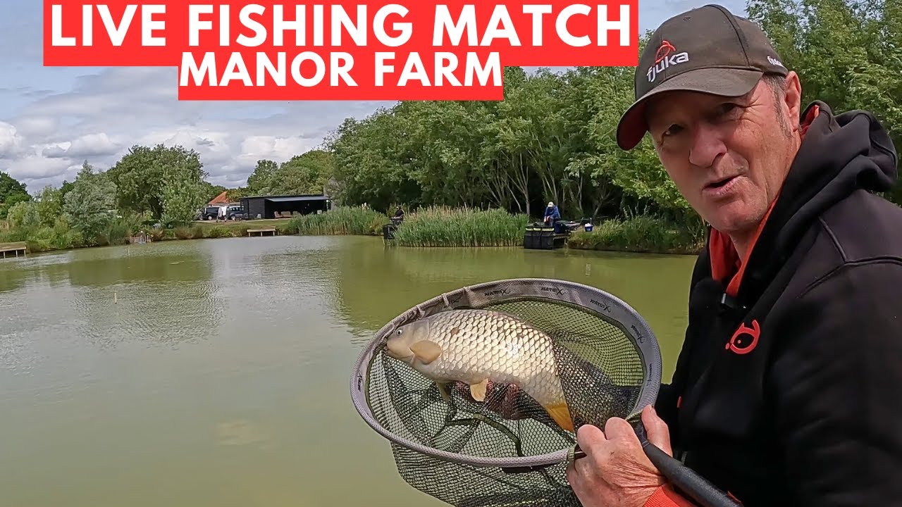 Live Fishing Match Manor Farm Swilland IP6 9LB, #matchfishinguk - YouTube