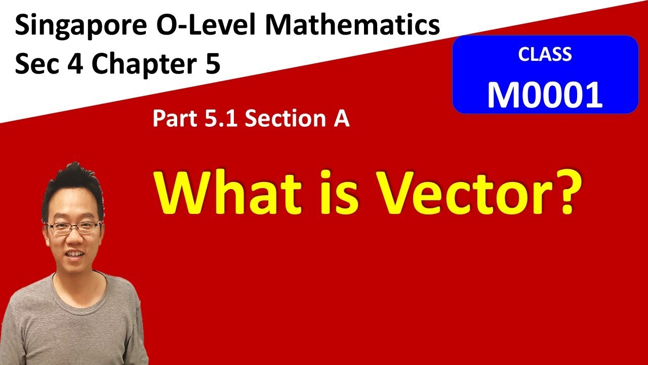 O Level Maths | Class M0001 | What is Vector? - YouTube