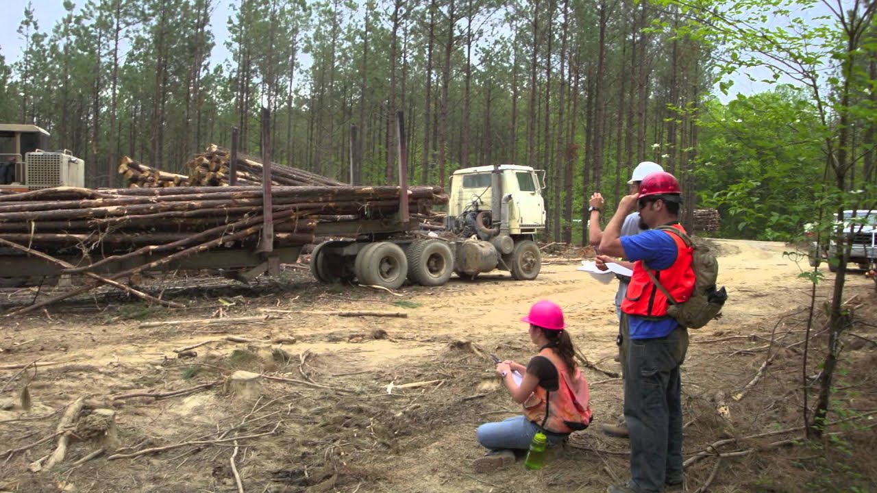 Virginia Tech Forestry - YouTube