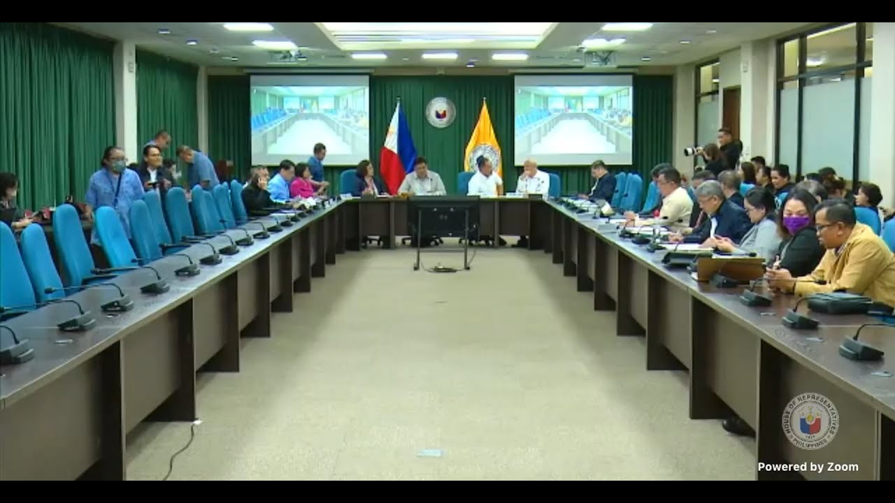 Committee on LEGISLATIVE FRANCHISES - YouTube