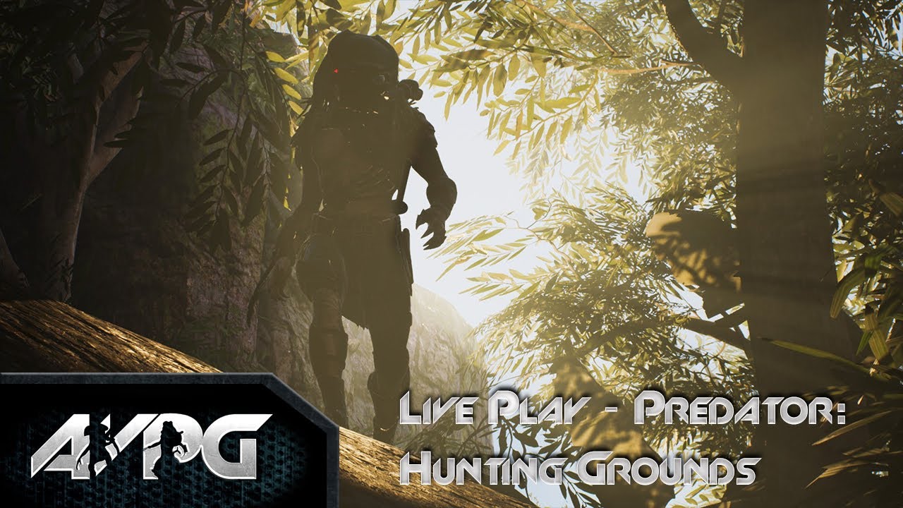 Live Play - Predator: Hunting Grounds - YouTube