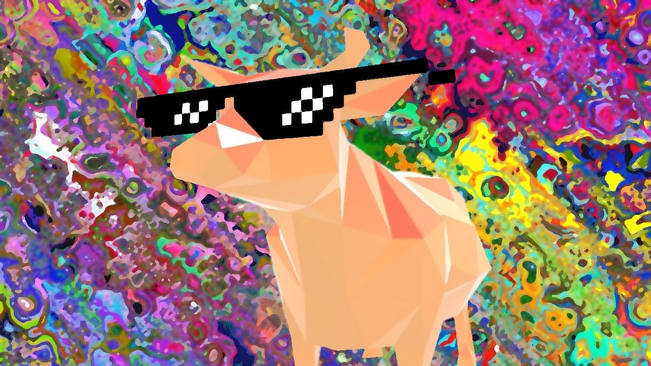 YOLO Animals - YouTube