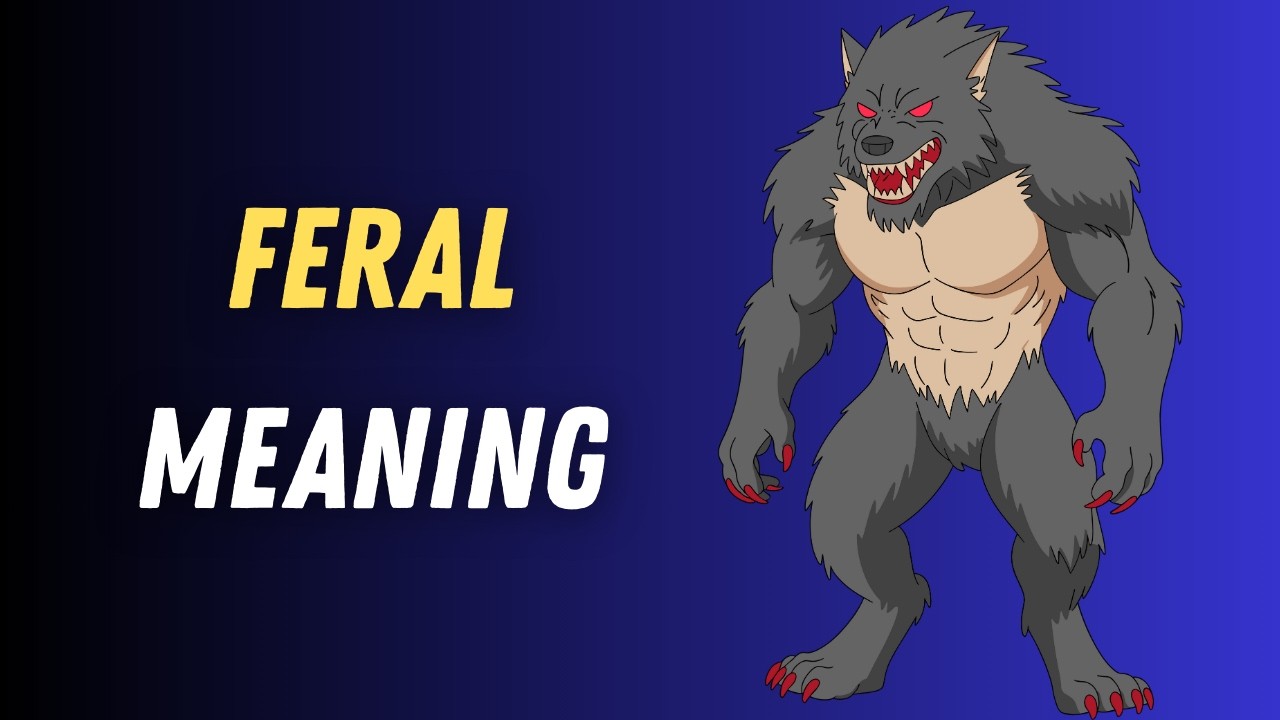 Feral Meaning in English | Feral Explained Simply with Examples - YouTube