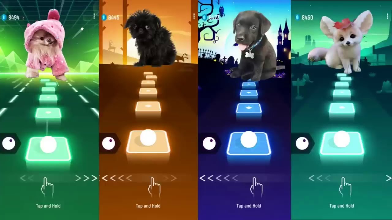 Tiles Hop Music games. Cute Dogs and Cats dancing with a ball! - YouTube