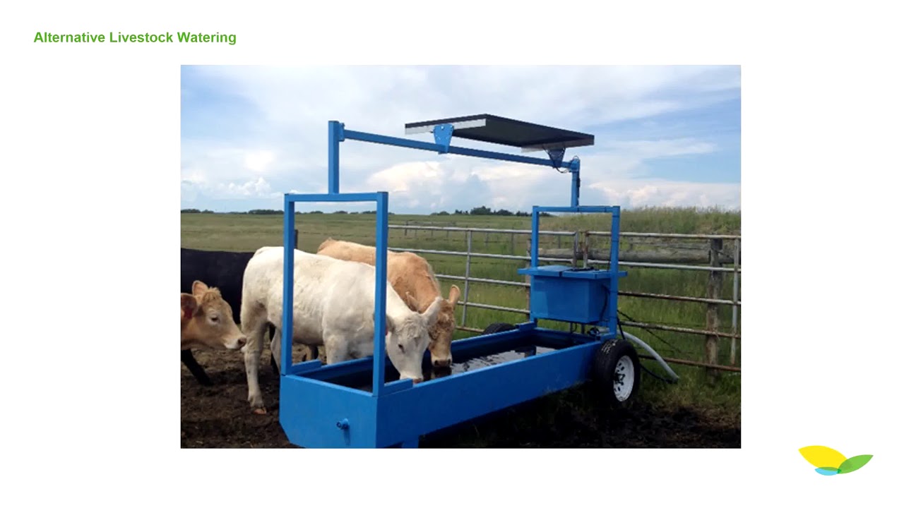 How ALUS Works - Webinar recording - YouTube