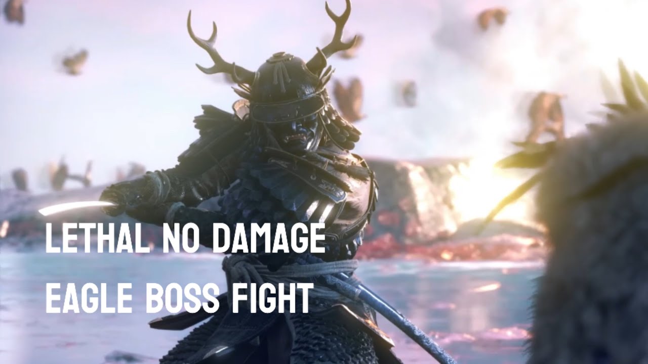 Eagle Boss Fight No Damage On Lethal (Ghost of Tsushima: Iki Island ...