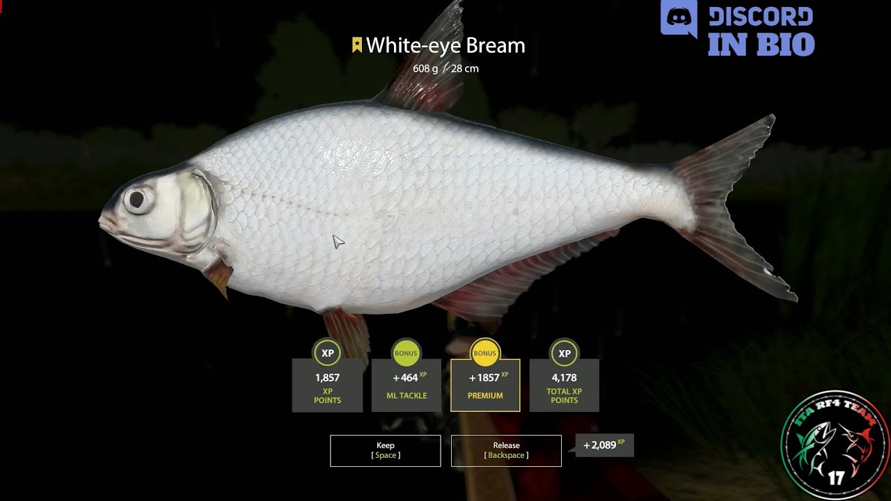 Akhtuba River spot, Trophy White Eye Bream - #60 - Russian Fishing 4 ...