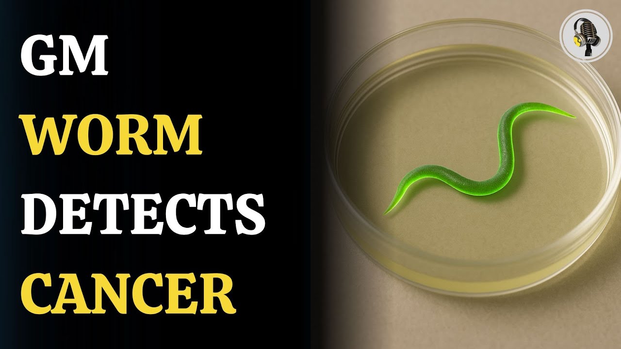 Worms Help Detect Pancreatic Cancer Early | WION Podcast - YouTube