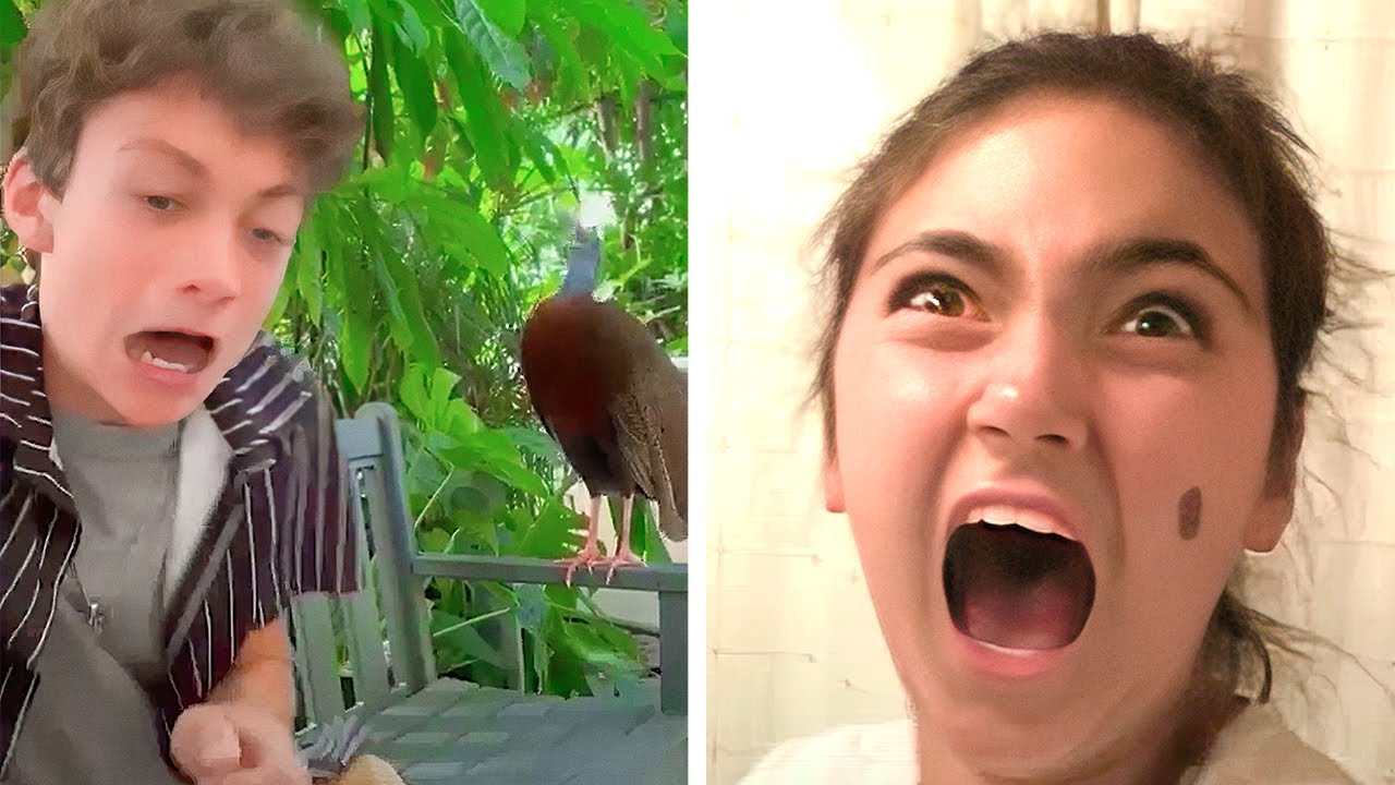 From Screams to Tears || Best Scare Pranks Compilation On Internet ...