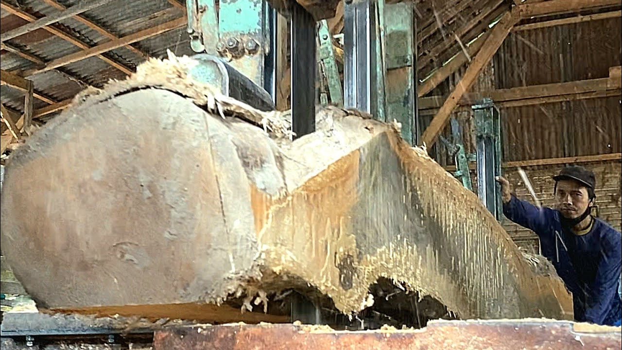 Techniques for sawing teak timber that you need to know- The process of ...