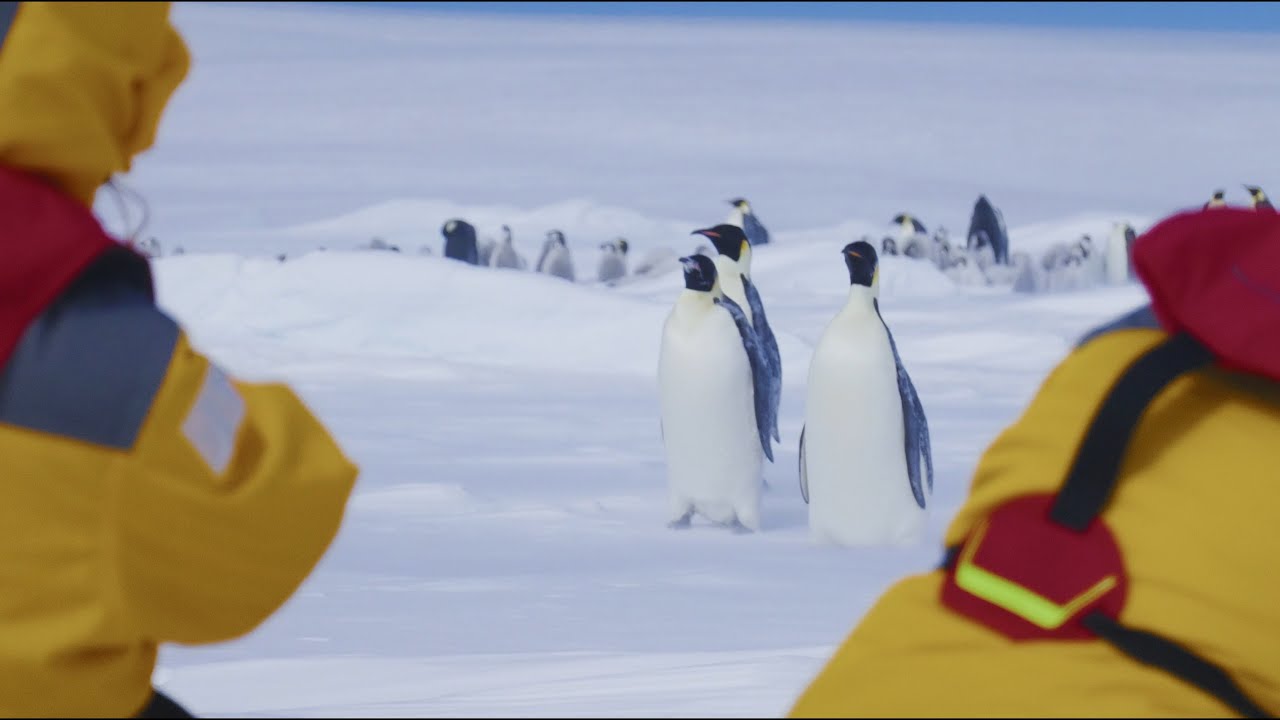 Snow Hill Island, Antarctica: The Impossible Journey - YouTube