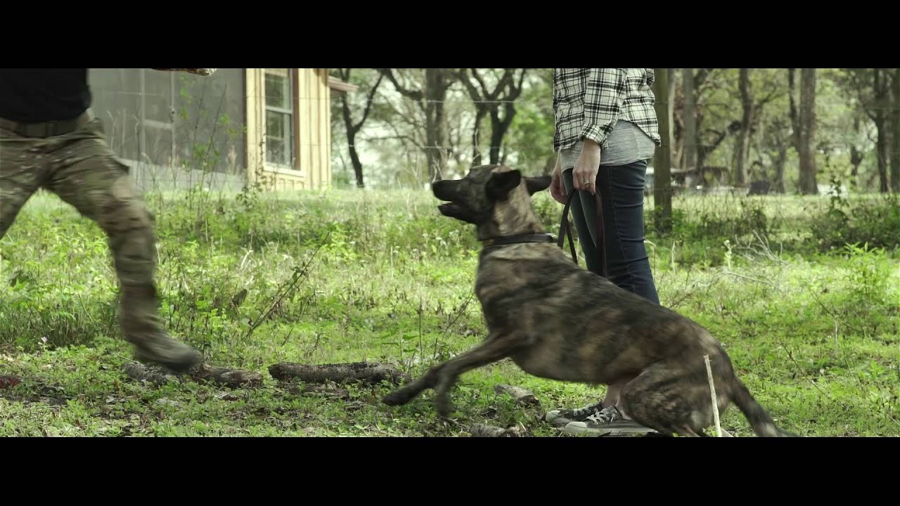 Tactical Protection: The GRIT Way - YouTube