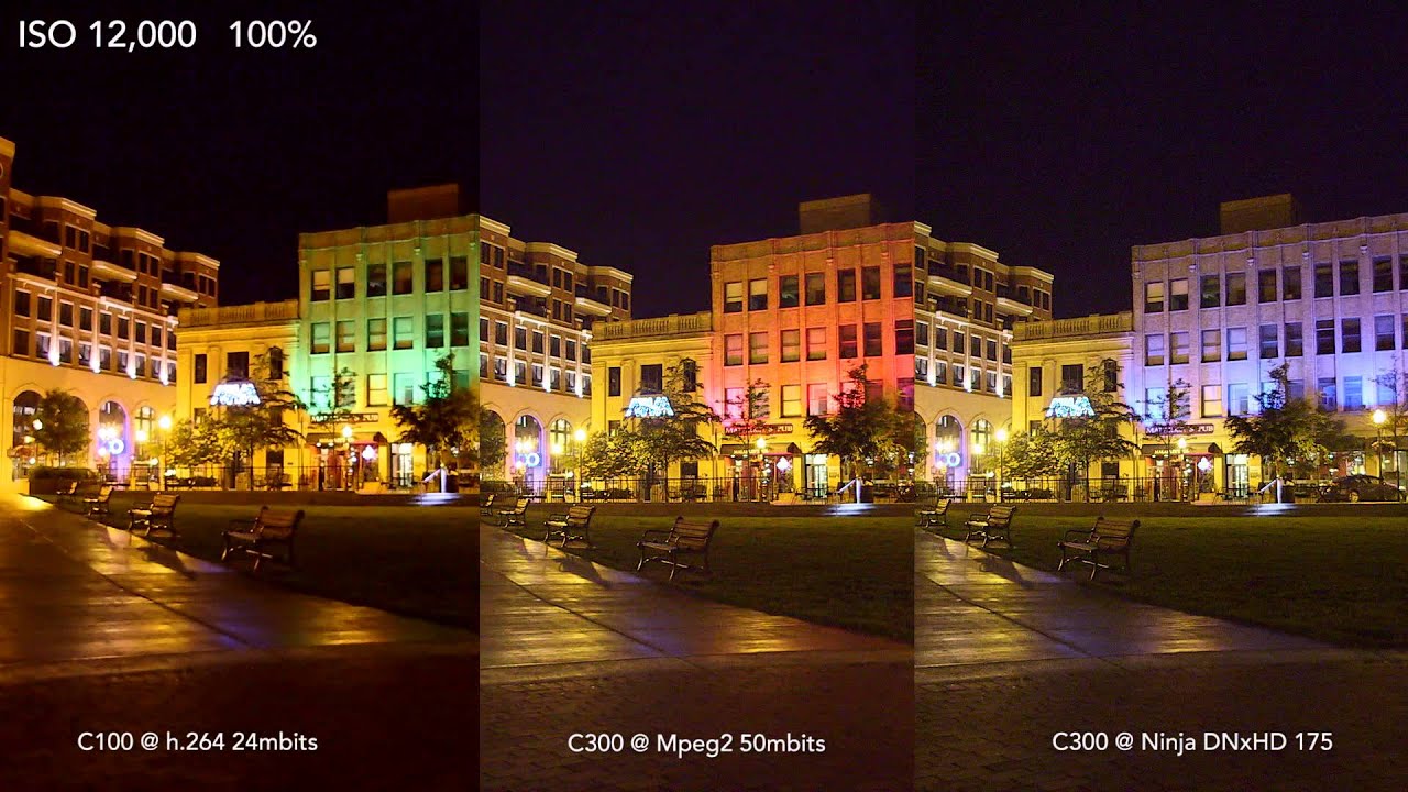 Canon Mpeg2 and H.264 Codecs VS Ninja DNxHD Compression Test - YouTube